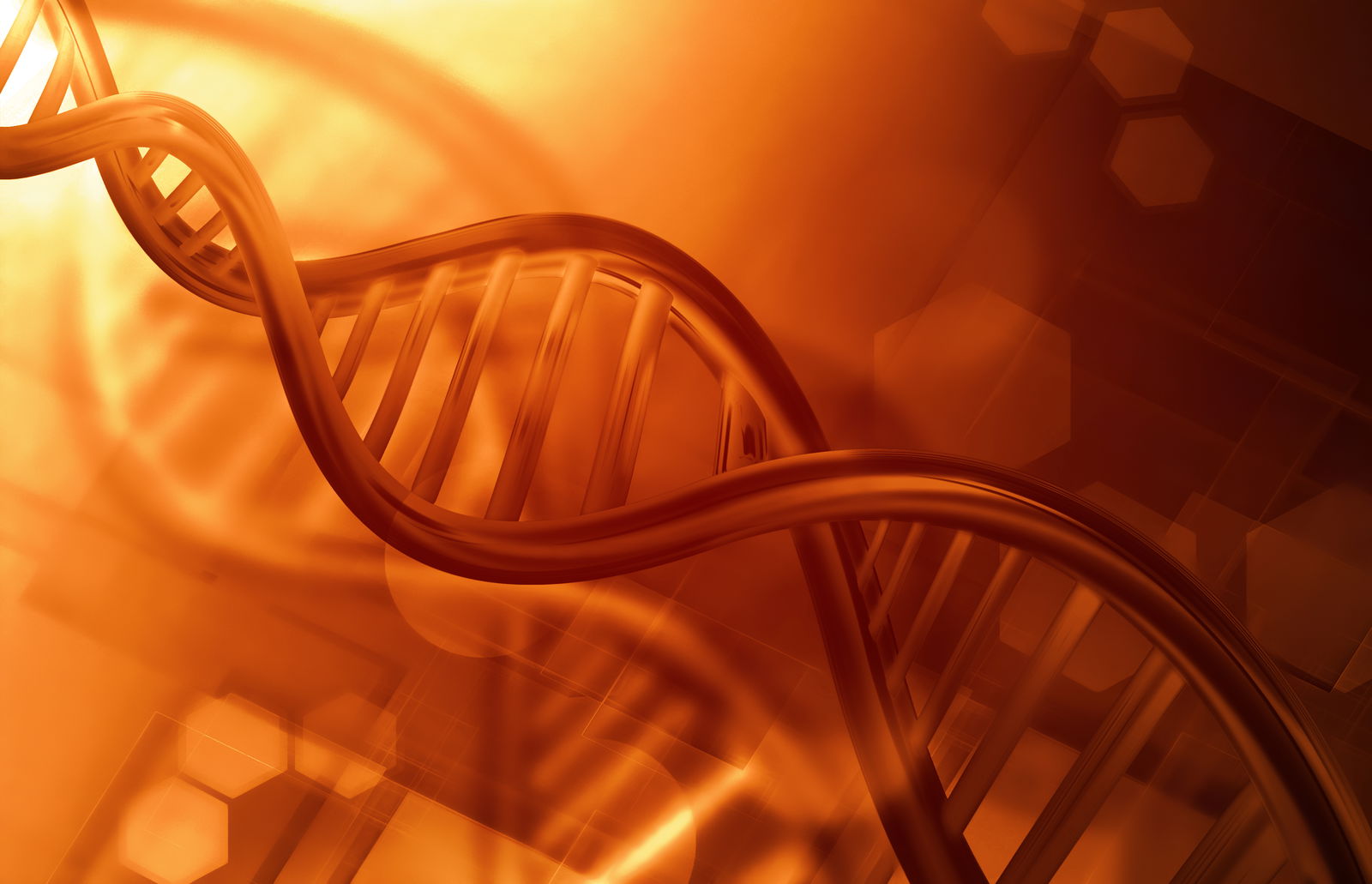 Toward an Accurate Model of Variation in DNA | Answers Research Journal