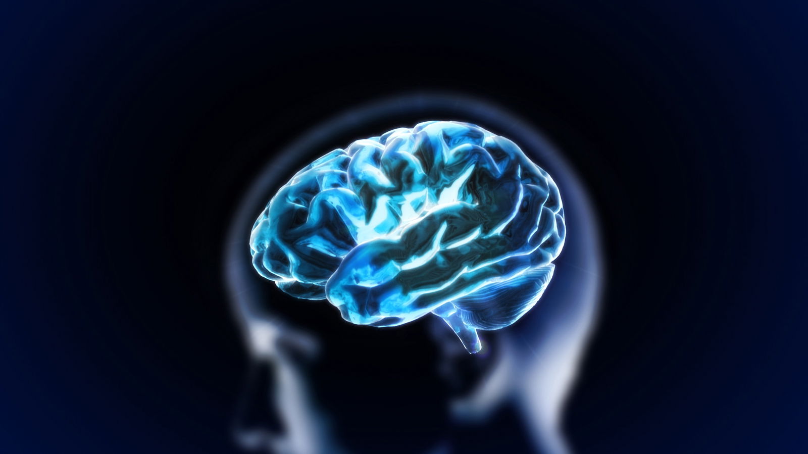Christians, the Brain, and Person | Answers Research Journal