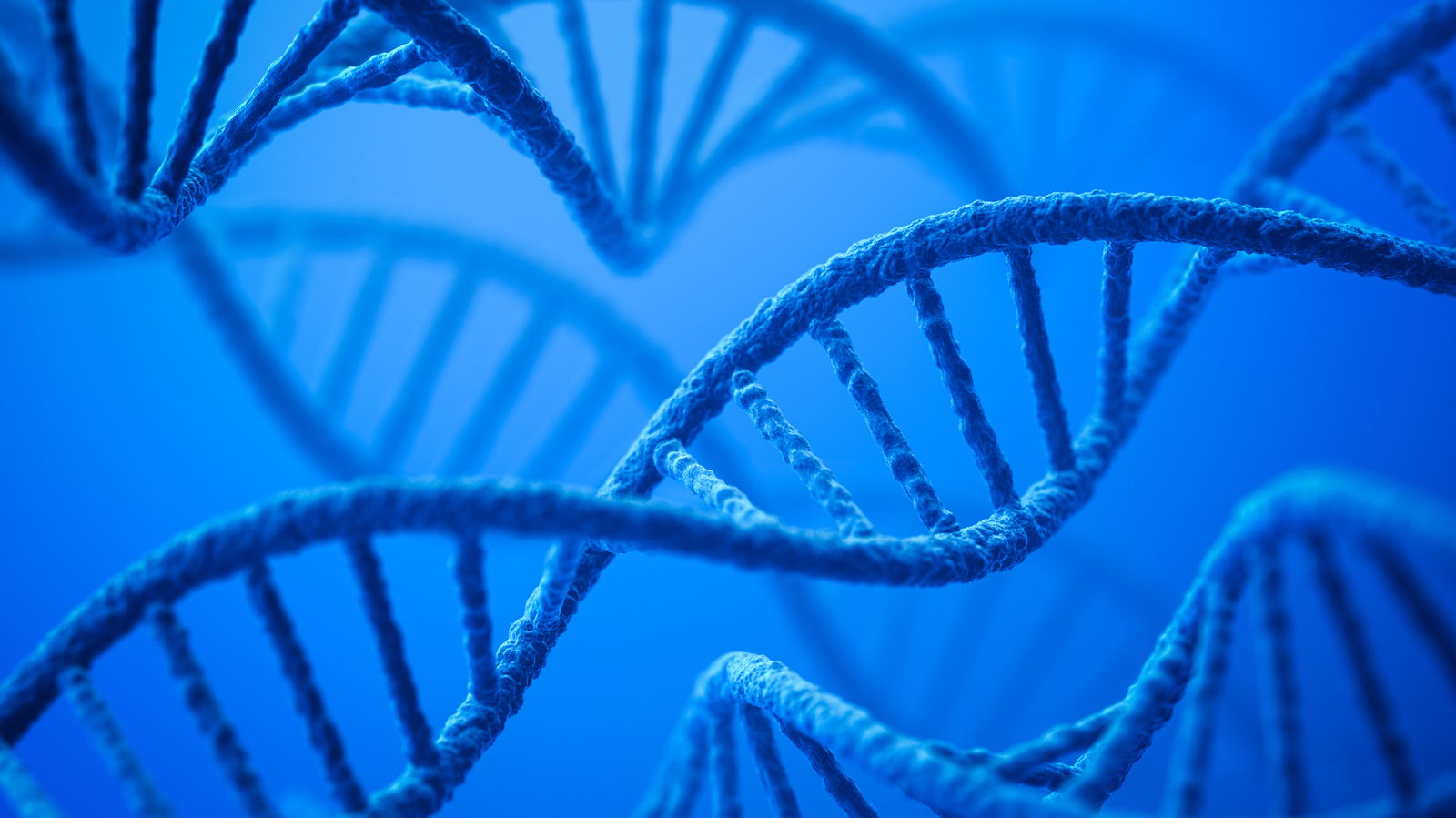 Human GULO Pseudogene: Discontinuity Genetic Entropy | Answers Research ...