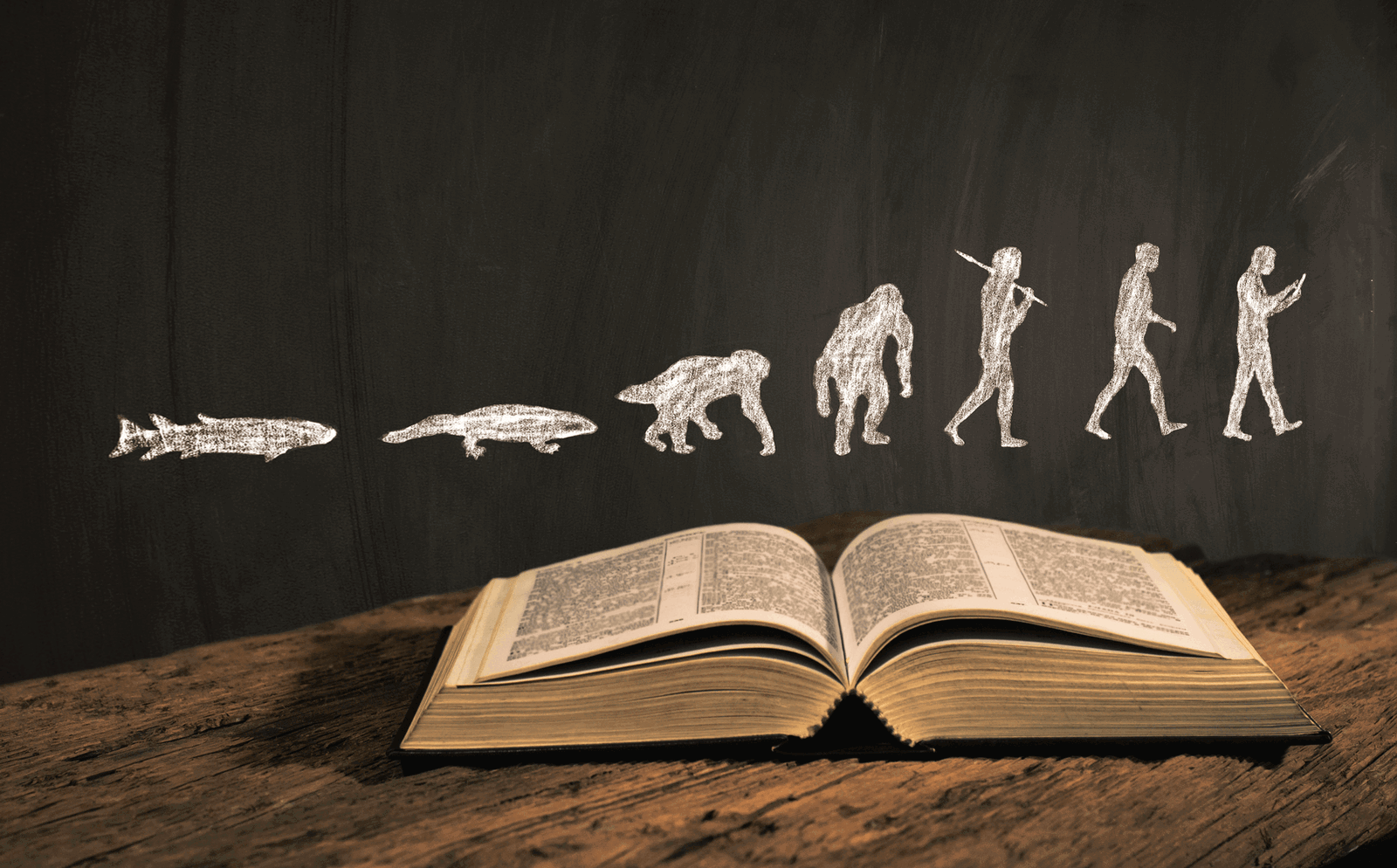 Theistic Evolution | Answers Research Journal